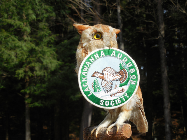 Dalton resident Susan Zanke to present late father Al Zenke’s slide ...