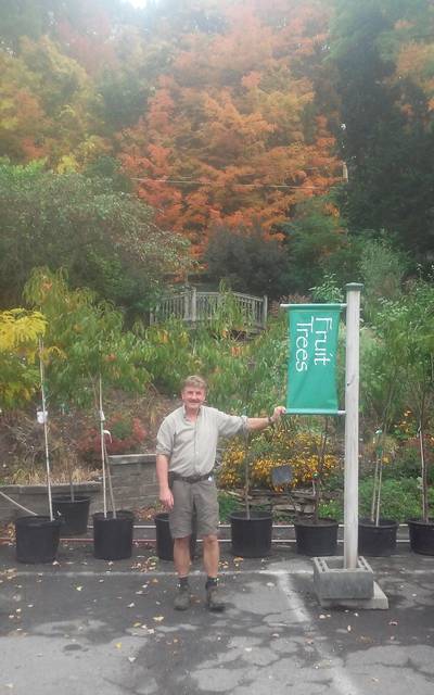 Autumn in bloom at Greystone Gardens | Abington Journal