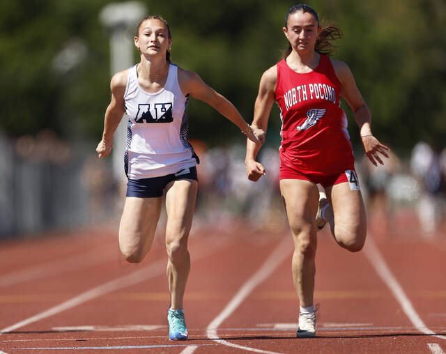 DISTRICT 2 TRACK AND FIELD:Lucarelli, Pucilowski, Seid, AH team all ...